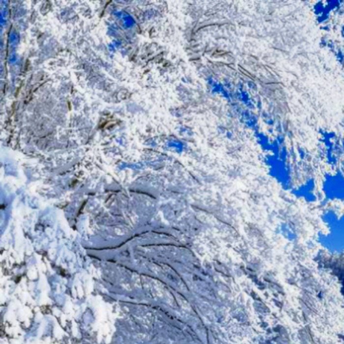 Solve Jack Frost's Work / Crystal blue. jigsaw puzzle online with 81 pieces