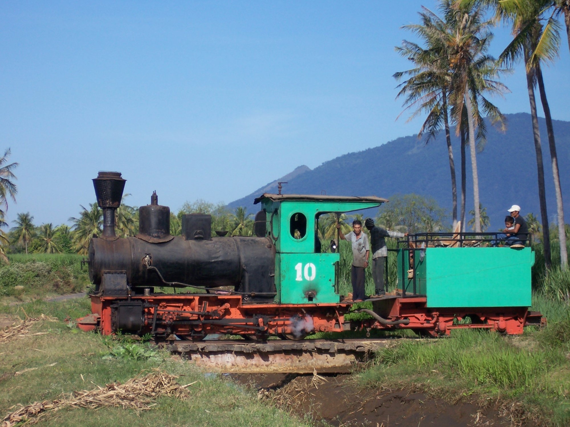 Solve Assembagus East Java jigsaw puzzle online with 176 pieces