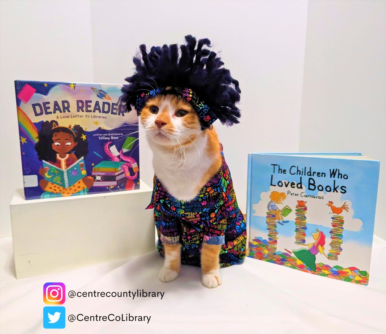 Solve Cat Icon Game #205 - Horatio the Library Cat celebrates Library ...