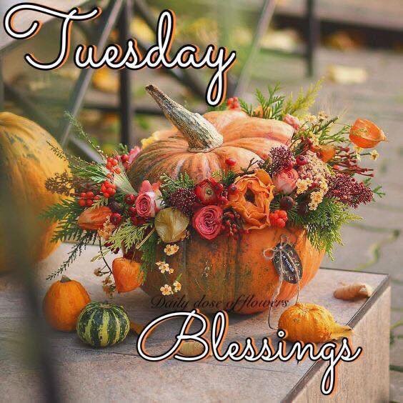 Solve Good Morning - Tuesday Blessings! jigsaw puzzle online with 64 pieces