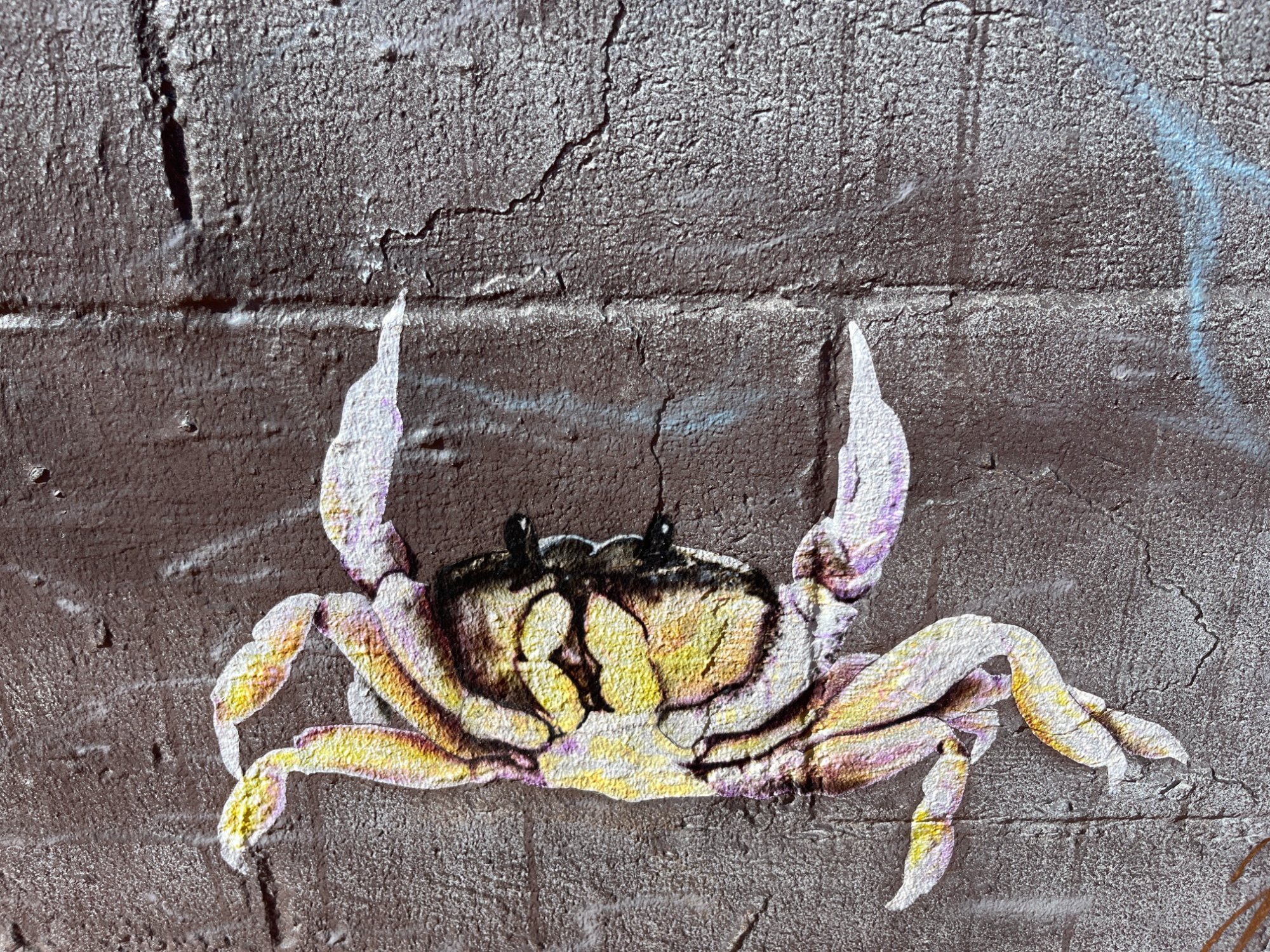 Solve Crab Mural jigsaw puzzle online with 80 pieces