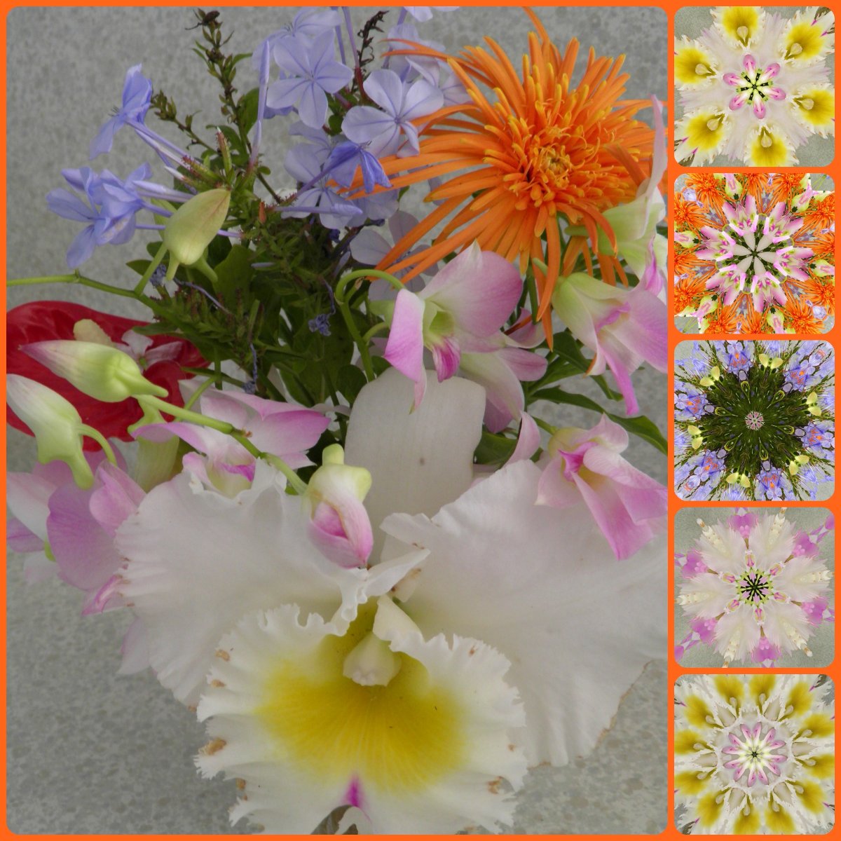 Solve White Orchid and Kaleidos. Larger. jigsaw puzzle online with 36 ...