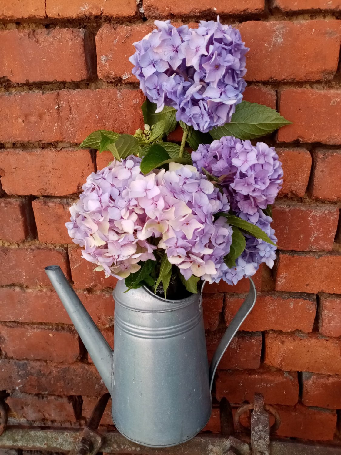 Solve Blahopřání k svátku Anna jigsaw puzzle online with 63 pieces