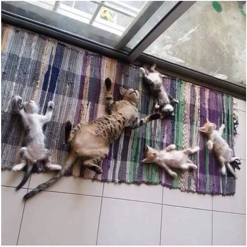 Solve Genetics?? jigsaw puzzle online with 16 pieces