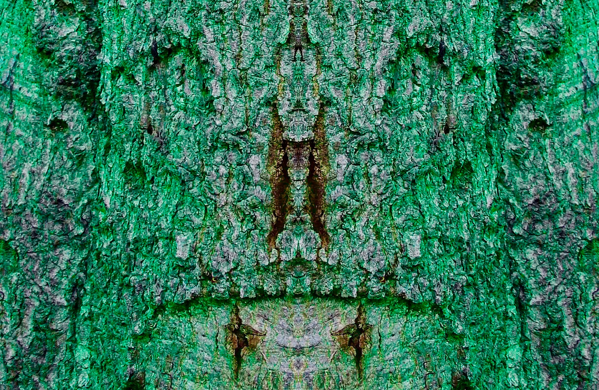 Solve The Trees Have Eyes jigsaw puzzle online with 96 pieces