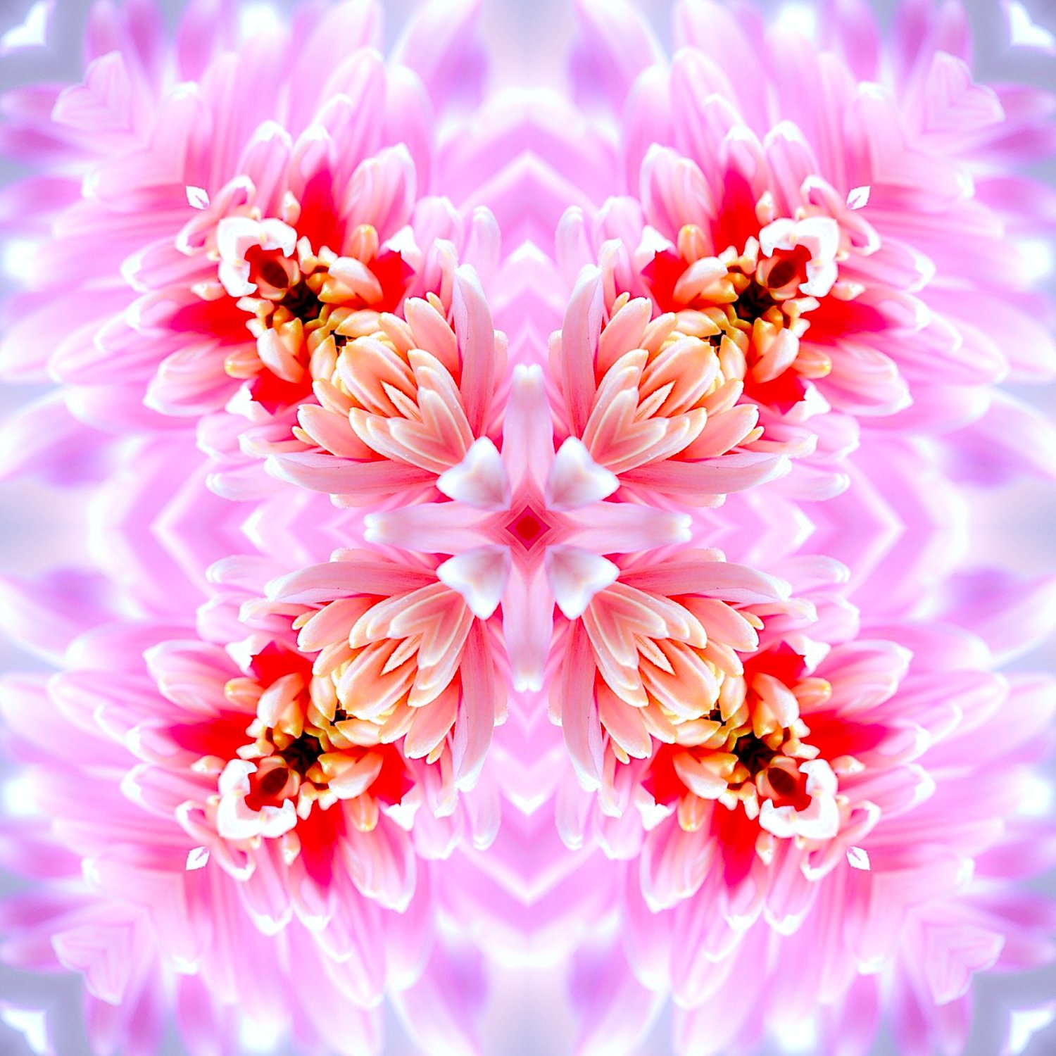 Solve #2 large jigsaw puzzle online with 144 pieces