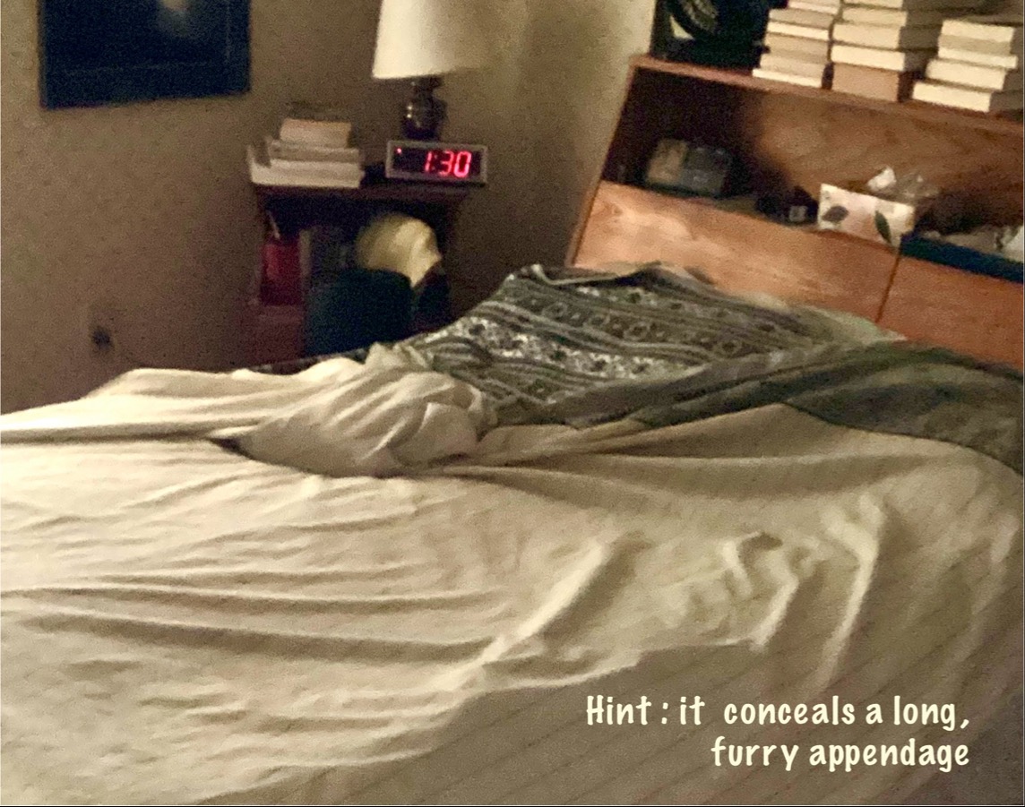 Solve Invisible Presence jigsaw puzzle online with 48 pieces