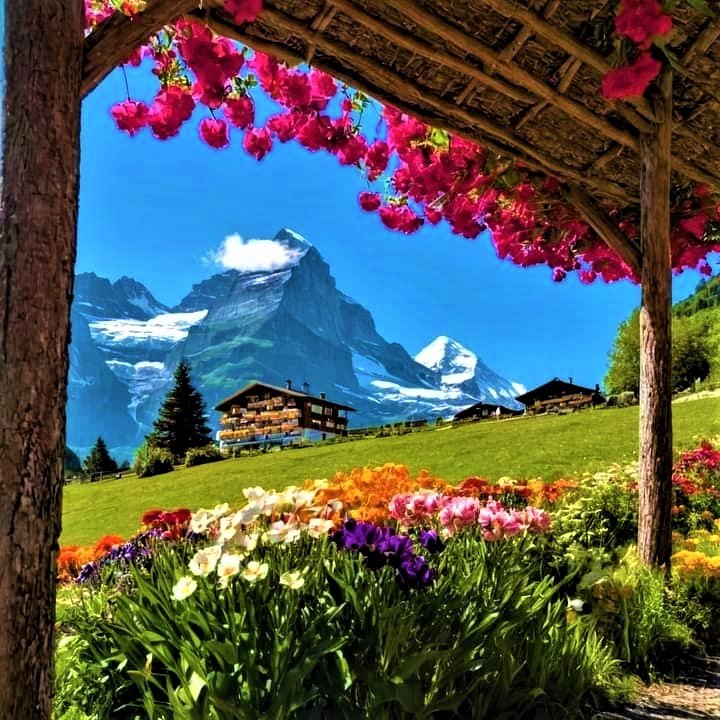 Solve A magical landscape jigsaw puzzle online with 64 pieces