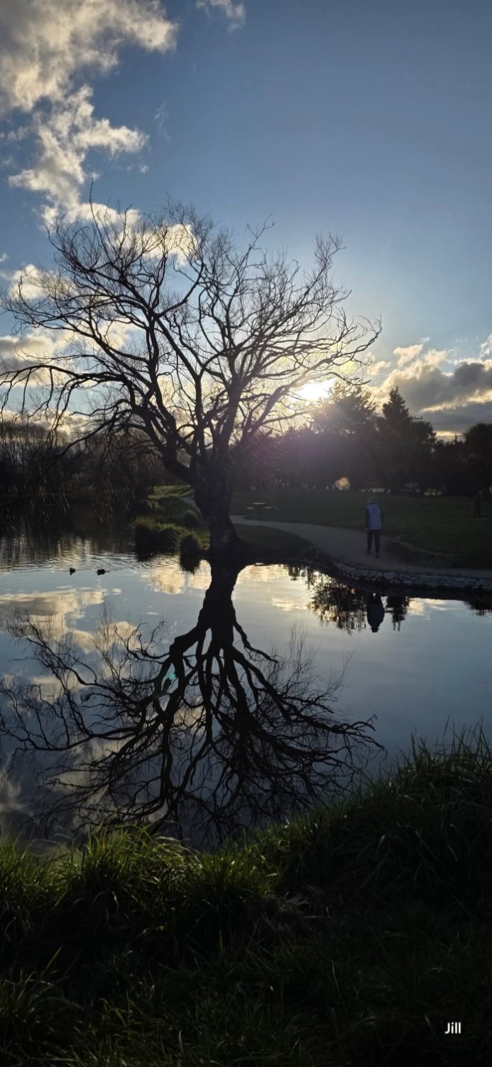 Solve Reflections jigsaw puzzle online with 55 pieces