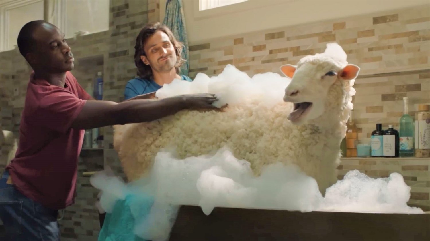 Solve Remember the VW Tiguan sheep commercial? jigsaw puzzle online ...