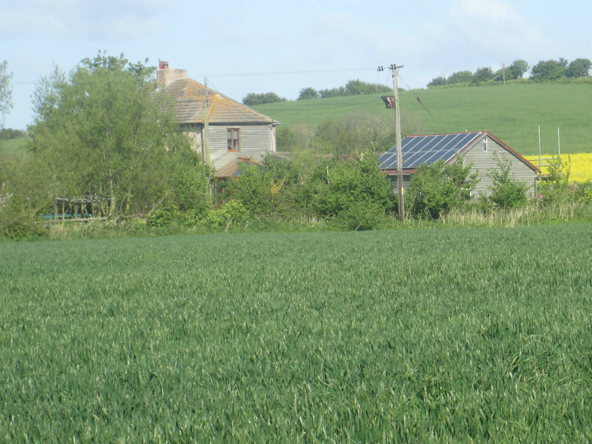 Solve "And the corn is green..." jigsaw puzzle online with 88 pieces