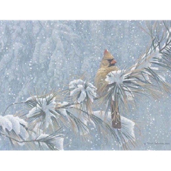 Solve "Winter Lady - Cardinal" - by Robert Bateman jigsaw puzzle online ...