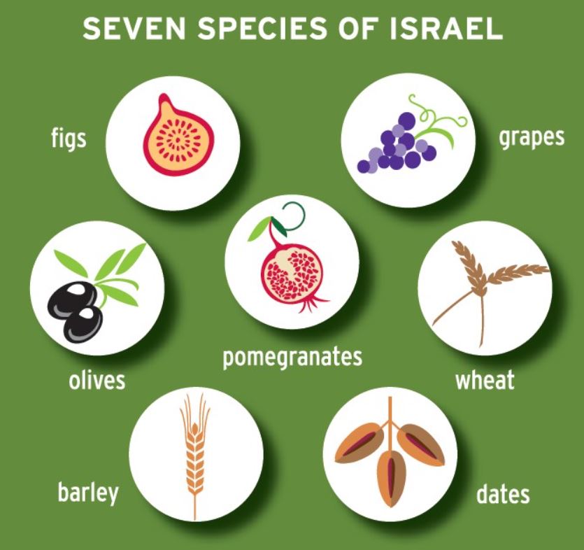 Solve The Seven Species of Israel jigsaw puzzle online with 72 pieces
