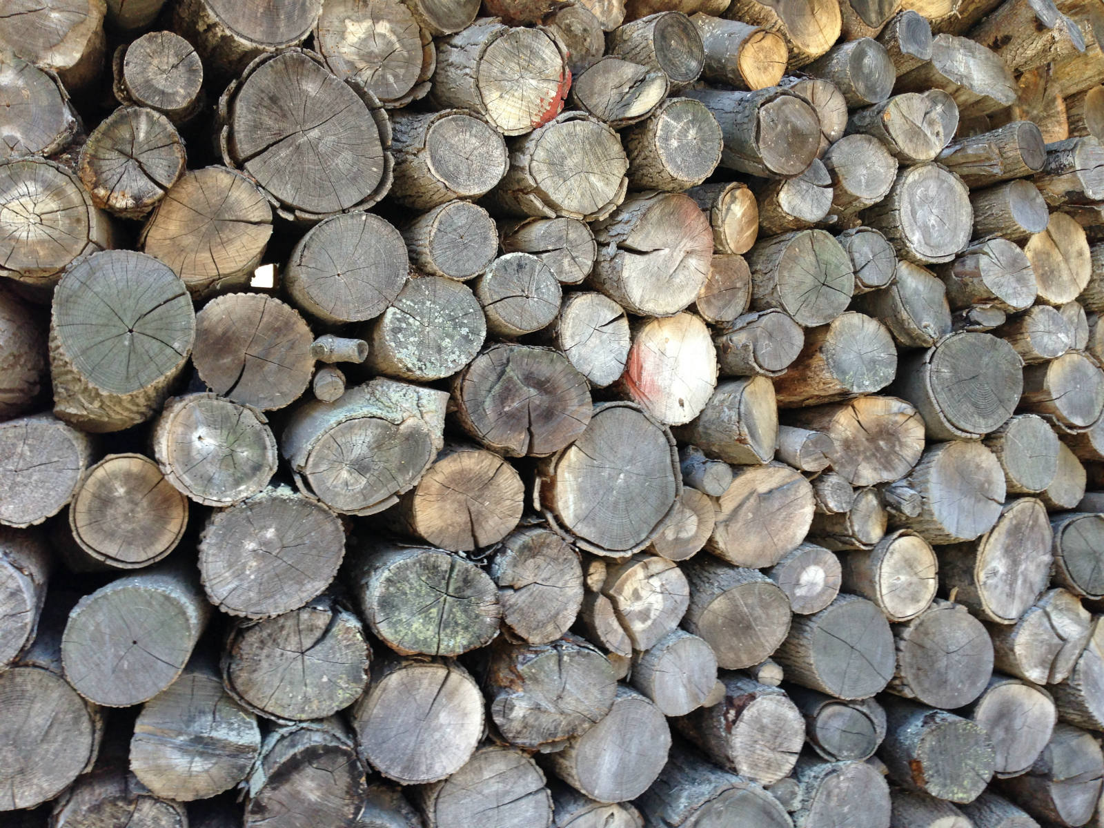 Solve Log Pile jigsaw puzzle online with 540 pieces