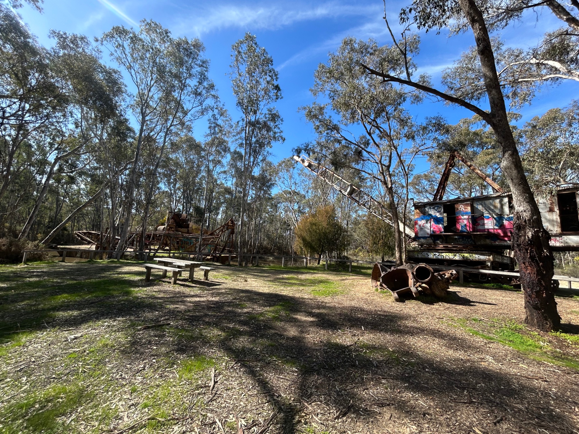 Solve A Jigidi for Porcupine jigsaw puzzle online with 80 pieces