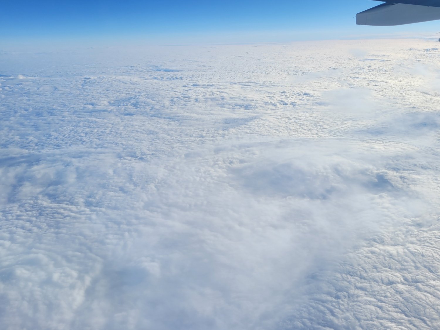 Solve Geschlossene Wolkendecke mit Triebwerk beim Flug eines Flugzeugs ...