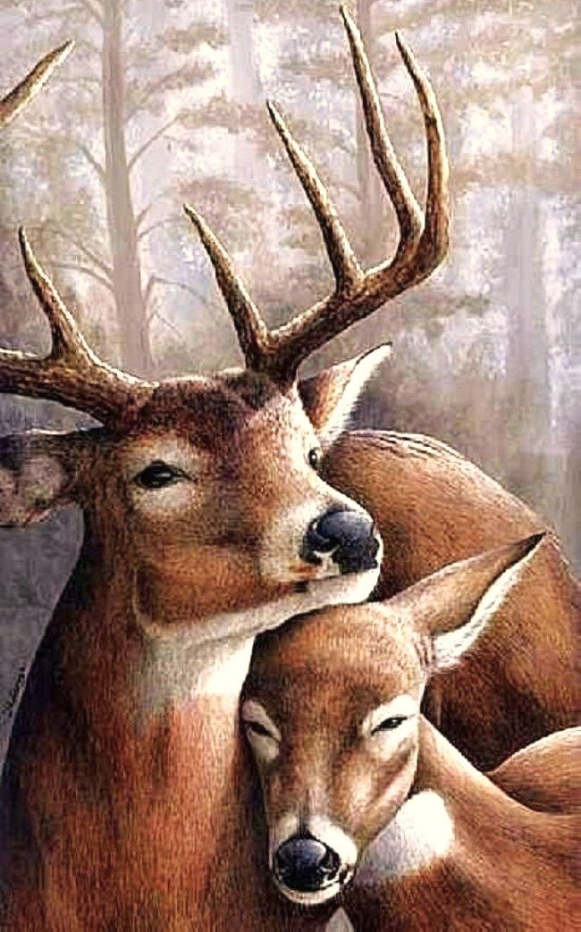 Solve 03006 jigsaw puzzle online with 104 pieces