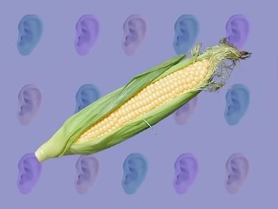 Jigsaw Puzzle | 20 pieces | corn | Jigidi