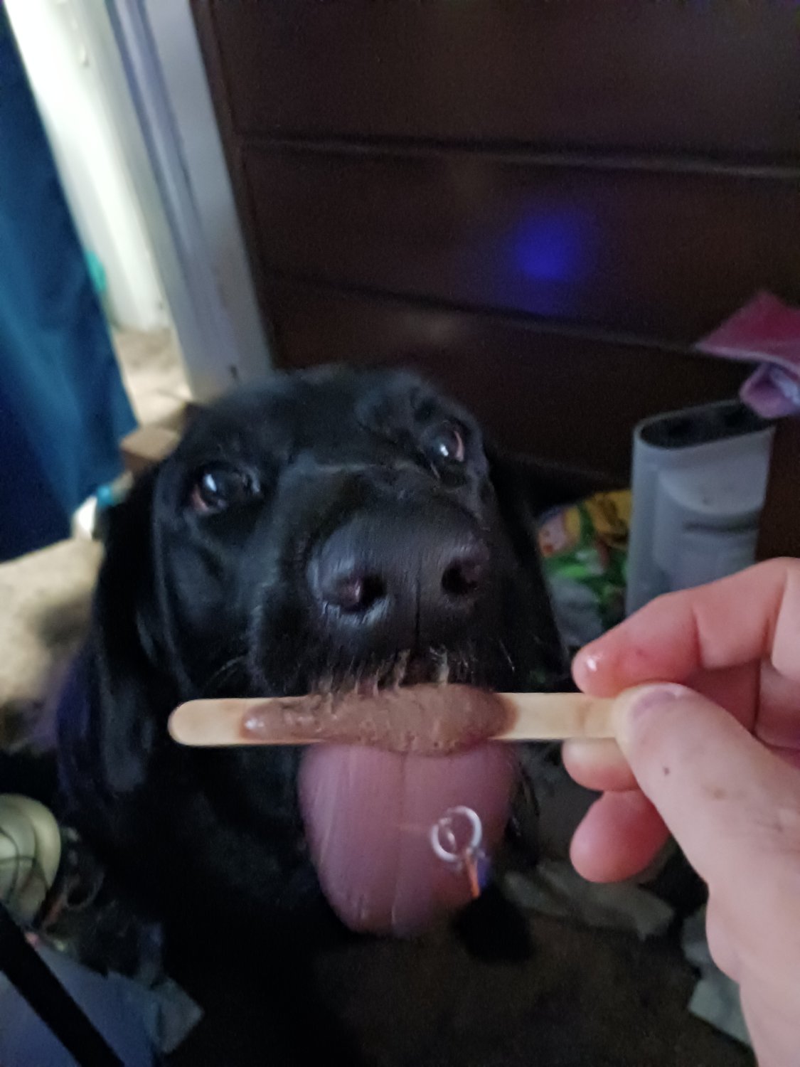 Solve Fudge Puppy 2 jigsaw puzzle online with 99 pieces