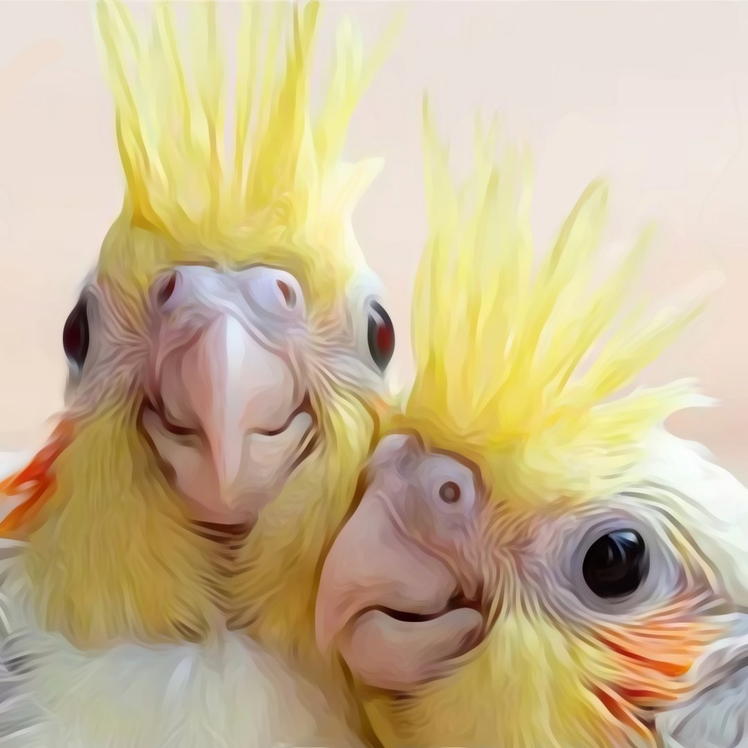 Solve Cockatiels jigsaw puzzle online with 64 pieces