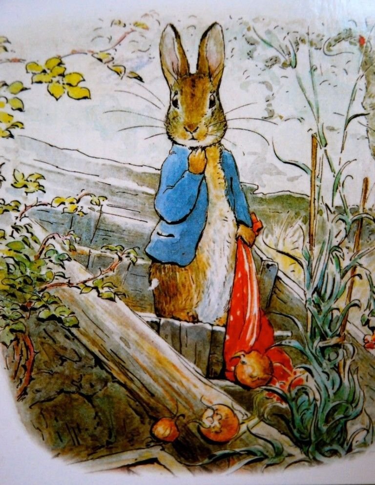 Solve PETER RABBIT , CREATED BY BEATRIX POTTER IN 1902 jigsaw puzzle ...