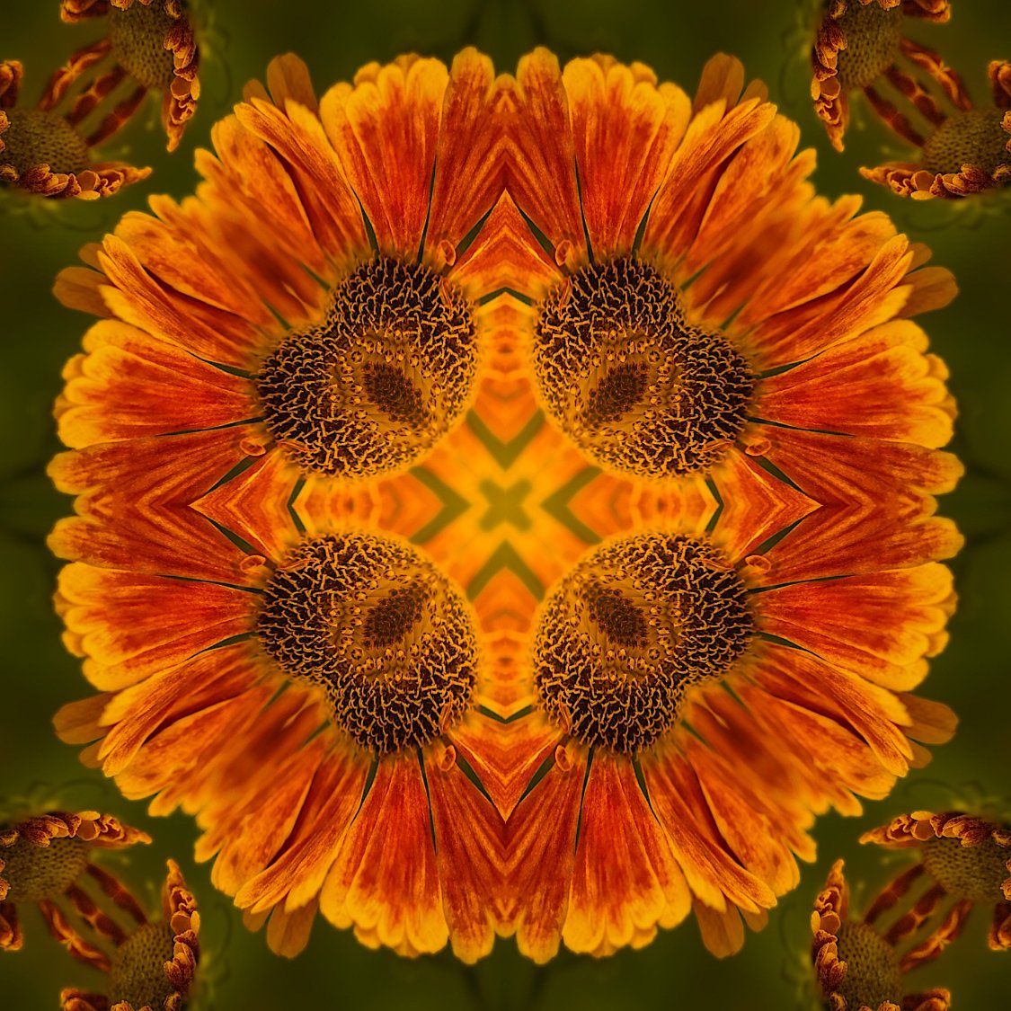 Solve #2 very small jigsaw puzzle online with 25 pieces