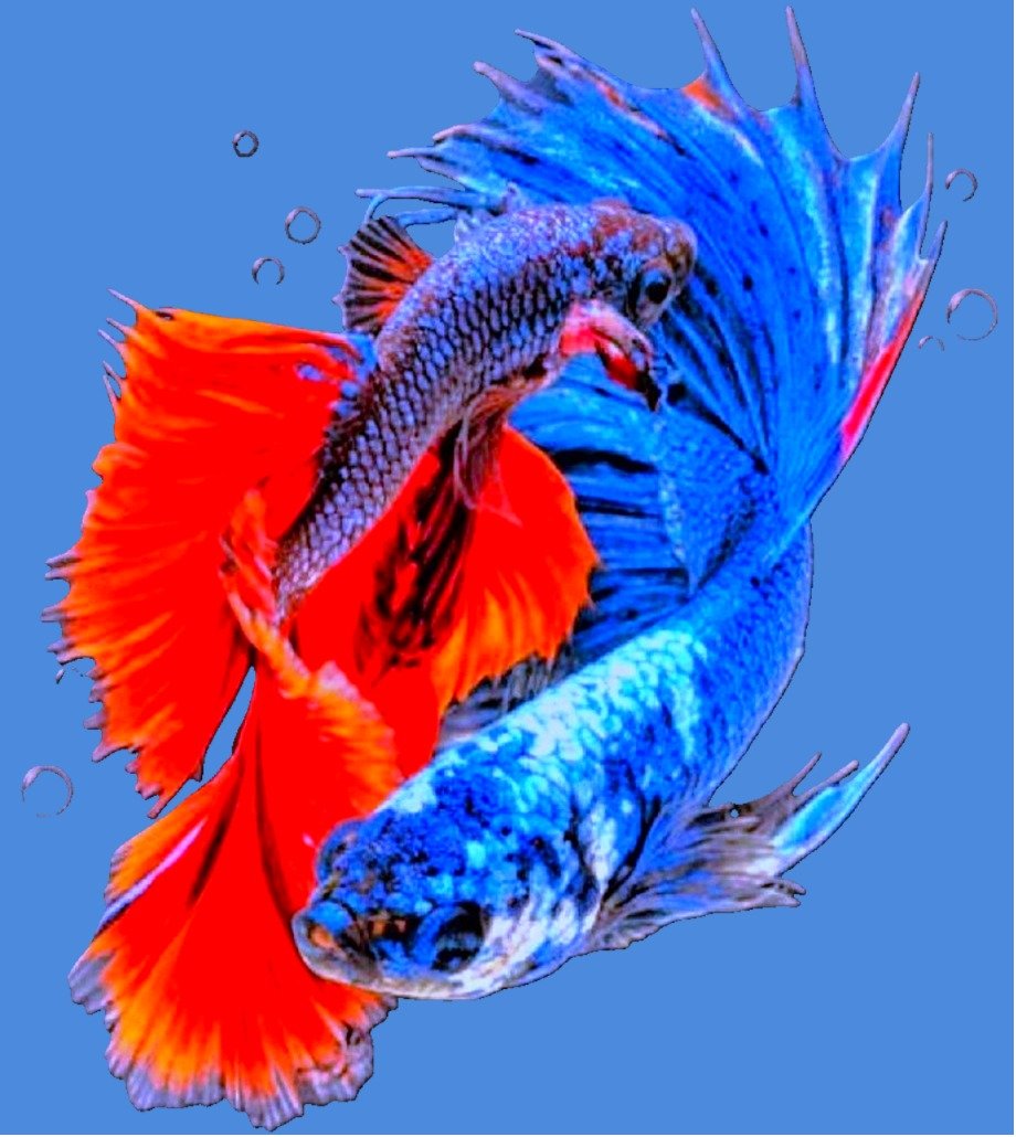 Solve "The Dance" jigsaw puzzle online with 56 pieces