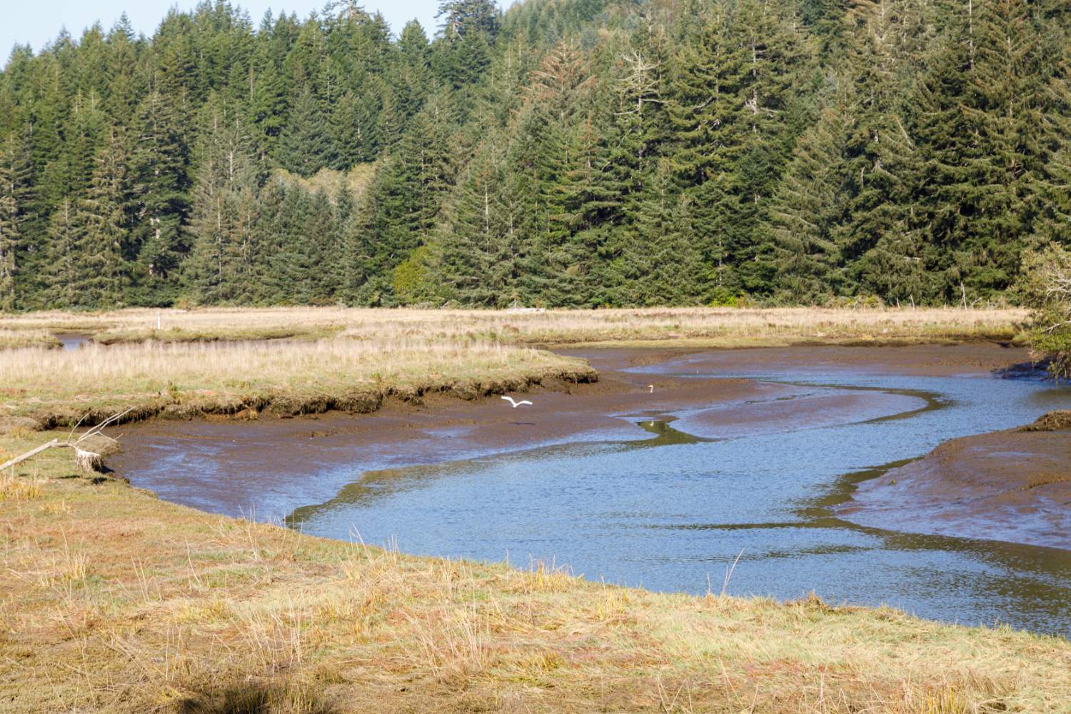 Solve OREGON ESTUARY jigsaw puzzle online with 96 pieces