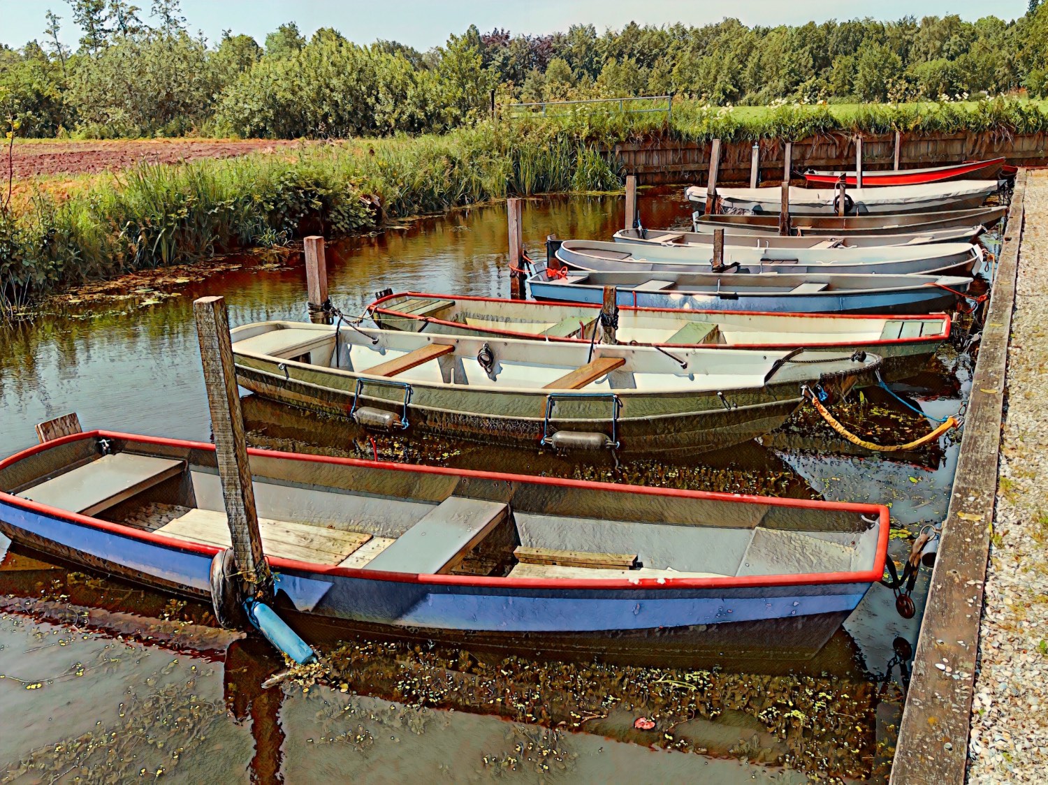 Solve Row, row, row … jigsaw puzzle online with 63 pieces