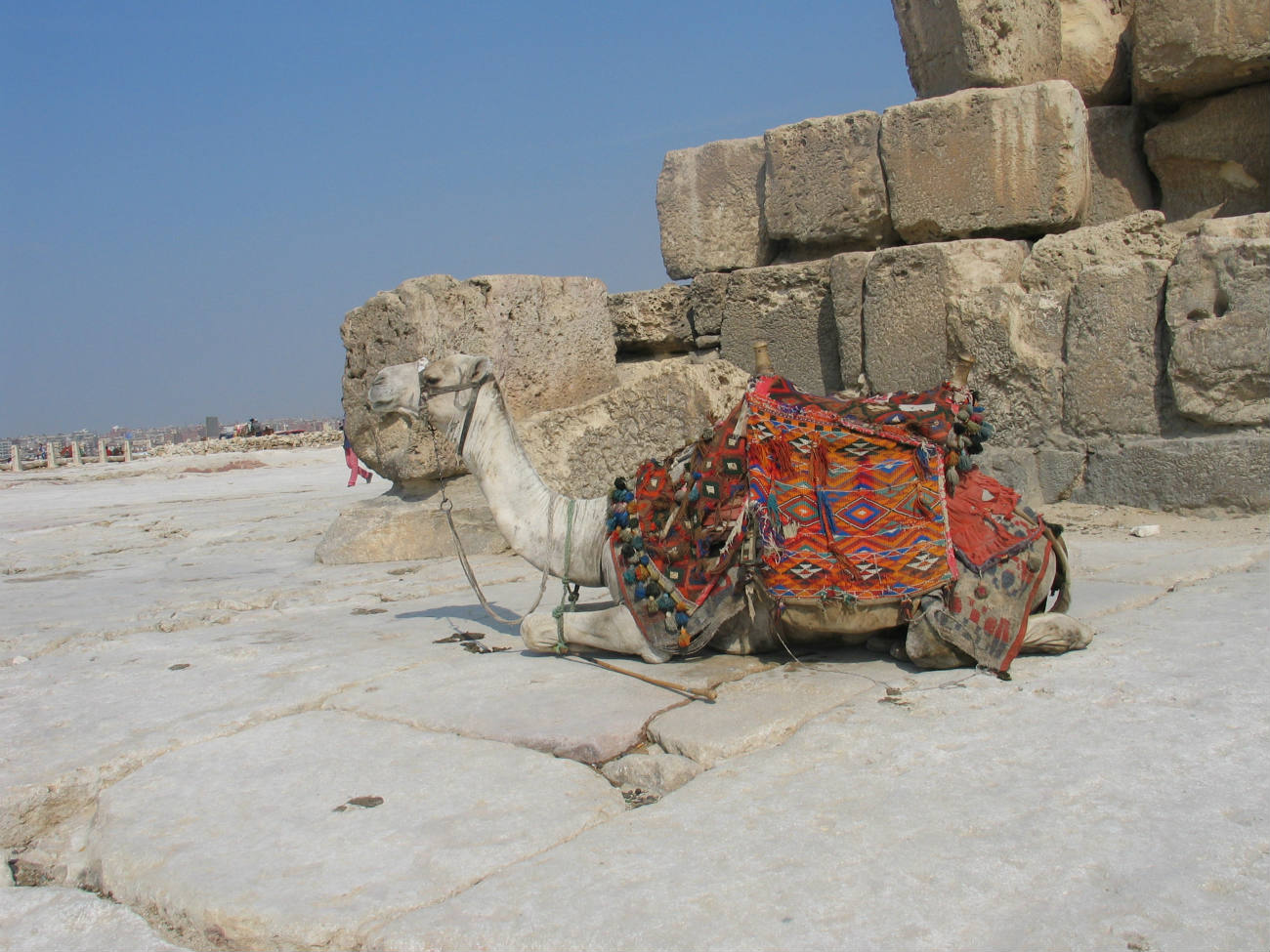 Solve Gaza jigsaw puzzle online with 130 pieces