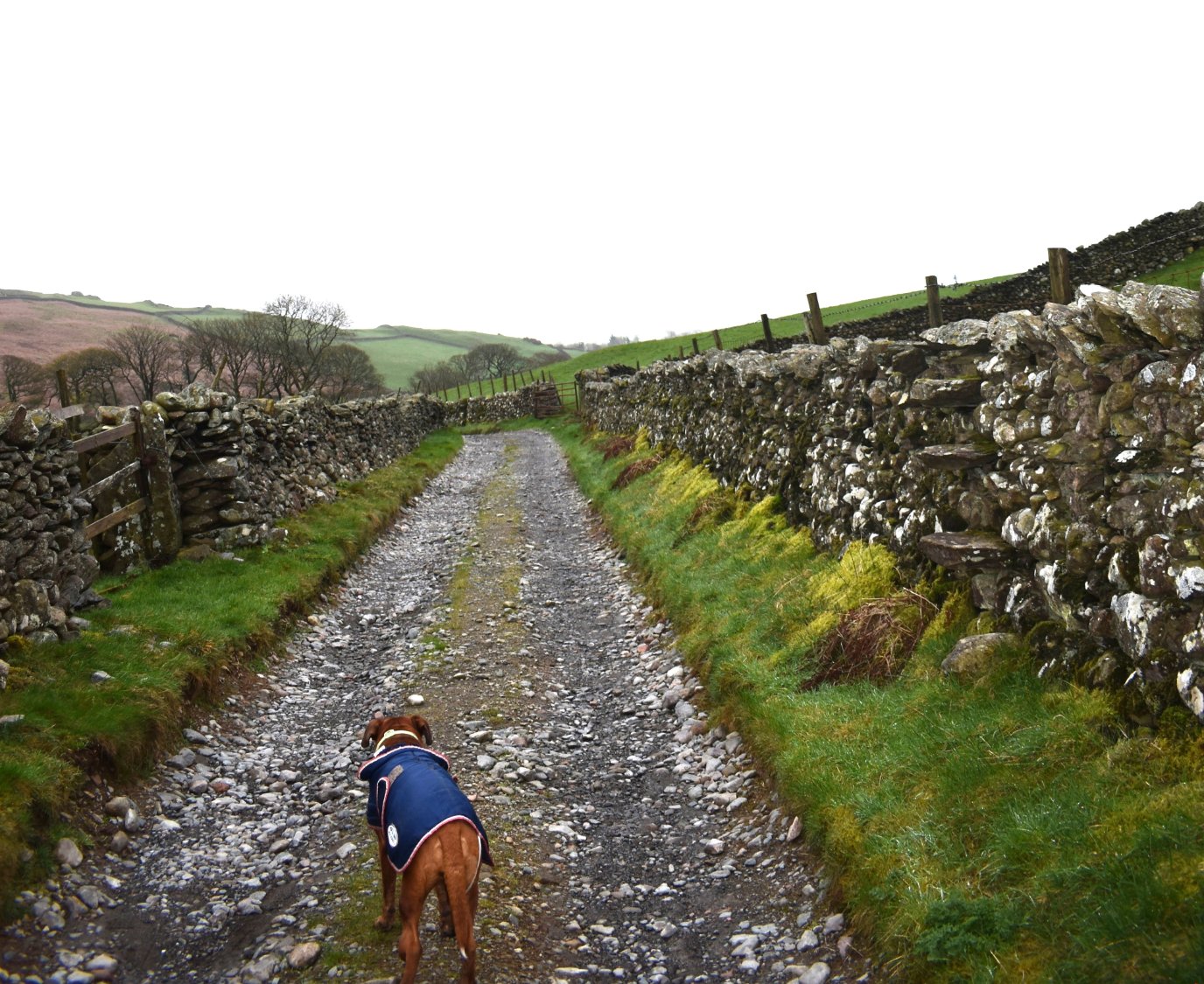 Solve Back along the stoney track. jigsaw puzzle online with 12 pieces