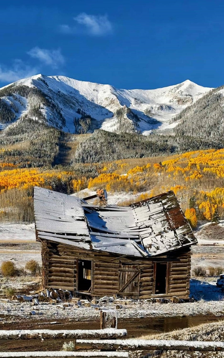 Solve It has collapsed since photo was taken jigsaw puzzle online with ...