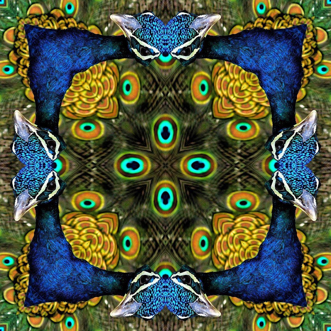 Solve #1 very small jigsaw puzzle online with 25 pieces