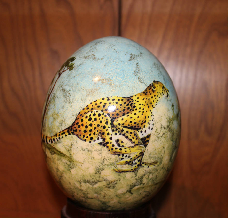 Solve Theme - Oval Ostrich Egg jigsaw puzzle online with 36 pieces