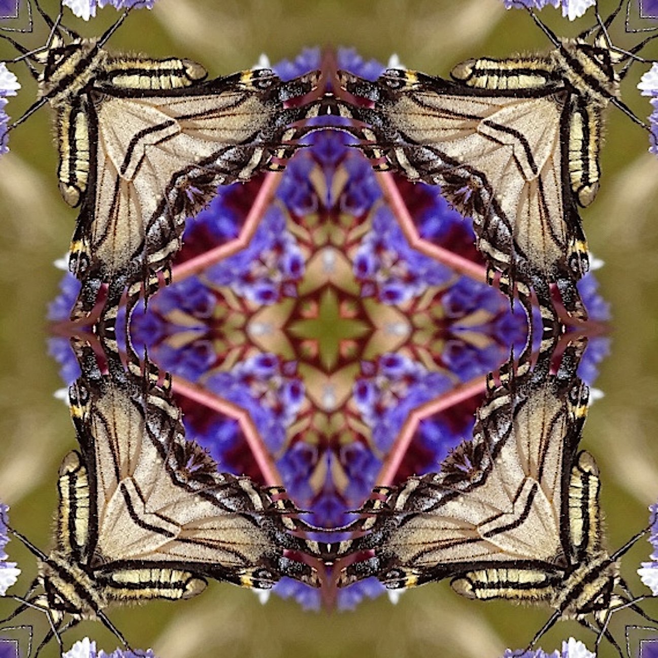 Solve #1 large jigsaw puzzle online with 144 pieces