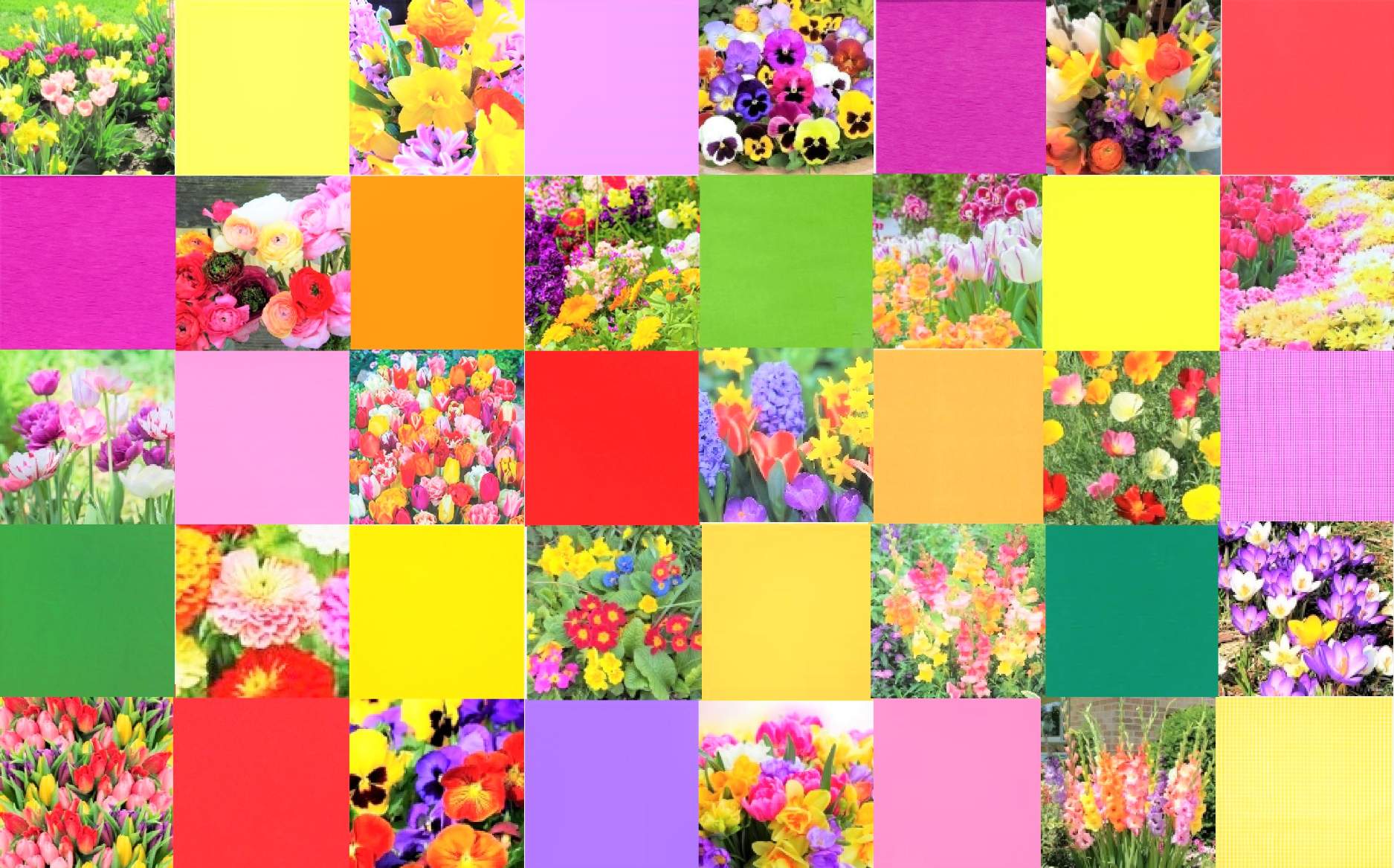 Solve SPRING FLOWERS jigsaw puzzle online with 150 pieces