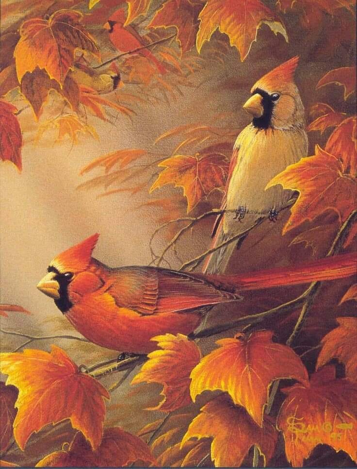 Solve Autumn Cardinals by Sam Timm jigsaw puzzle online with 63 pieces