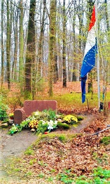 Solve #18 jigsaw puzzle online with 60 pieces