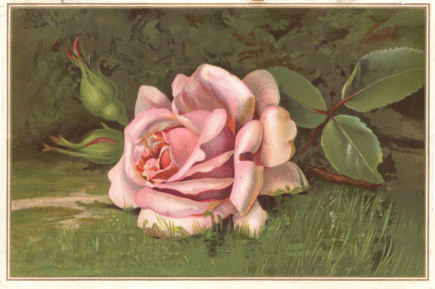 Solve VINTAGE ROSE jigsaw puzzle online with 12 pieces