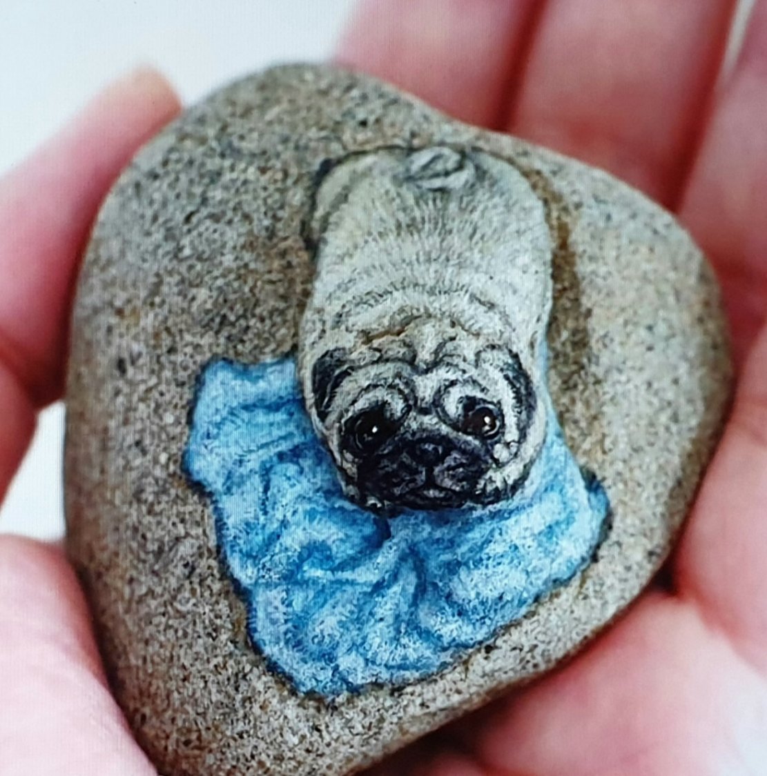 Solve PAMPERED PUG jigsaw puzzle online with 25 pieces