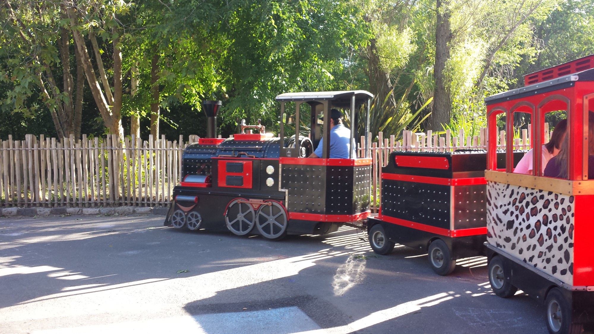 Solve zoo train jigsaw puzzle online with 91 pieces