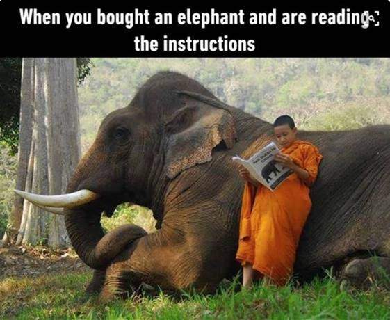 Puzzle | 30 dílků | How to deal with an elephant | Jigidi