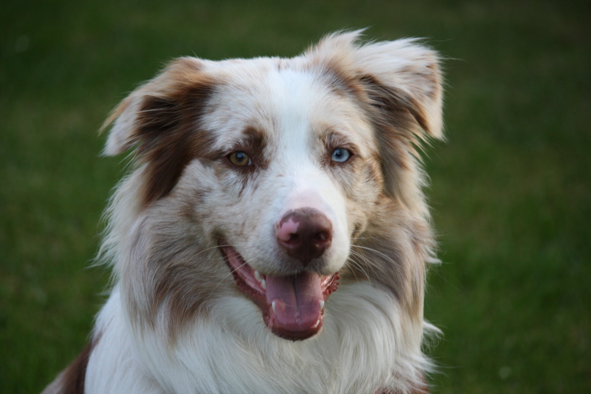 Solve YAMA jigsaw puzzle online with 330 pieces