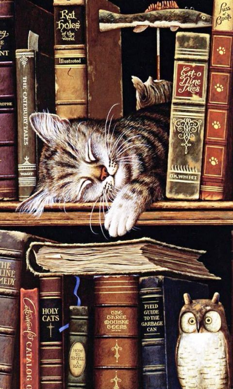 Solve Library with sleeping cat jigsaw puzzle online with 77 pieces