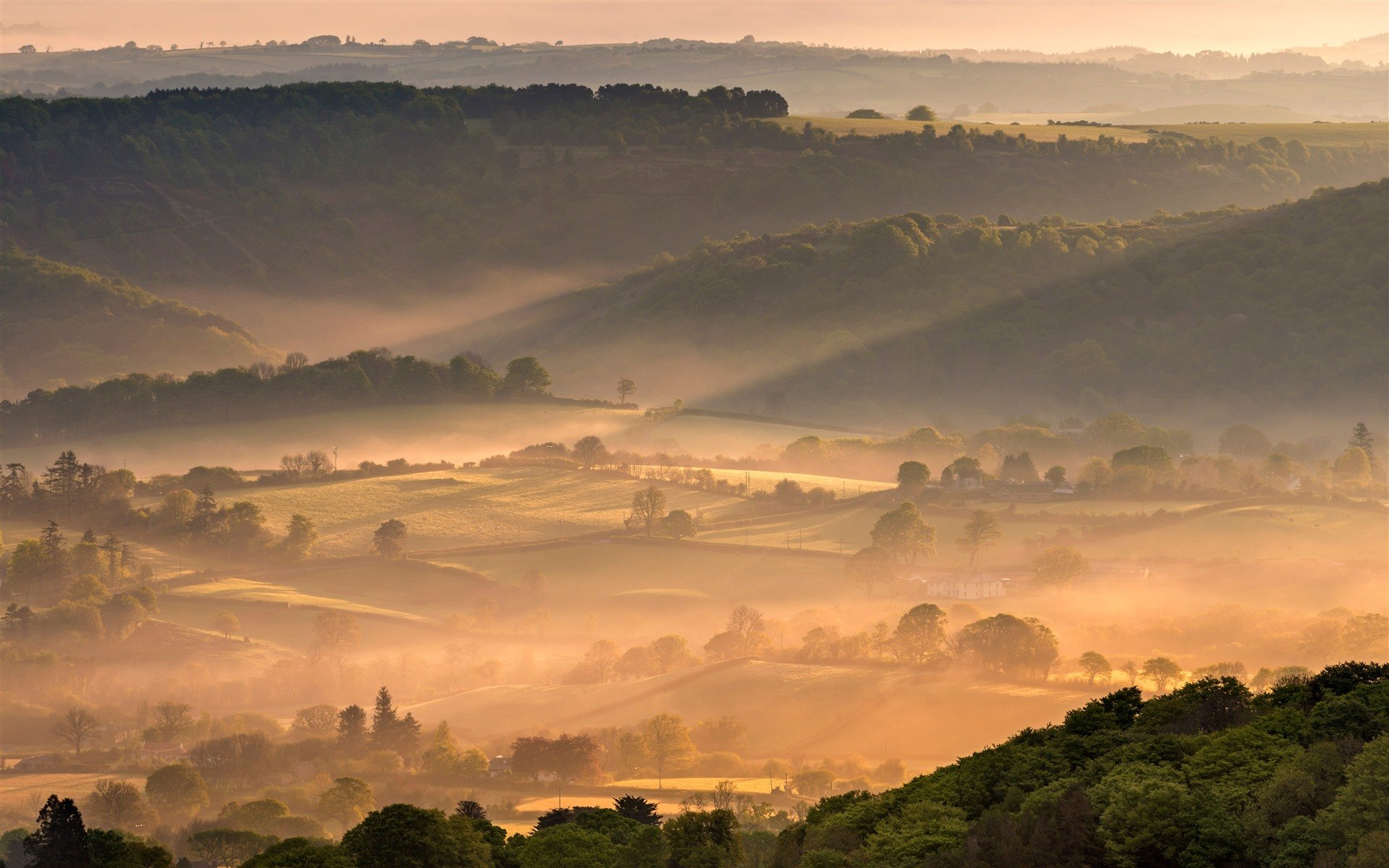 Solve England_Dartmoor_National_Park_Devon jigsaw puzzle online with ...