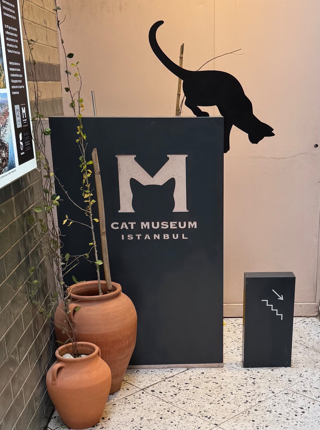 Solve The Cat Museum, Istanbul jigsaw puzzle online with 165 pieces