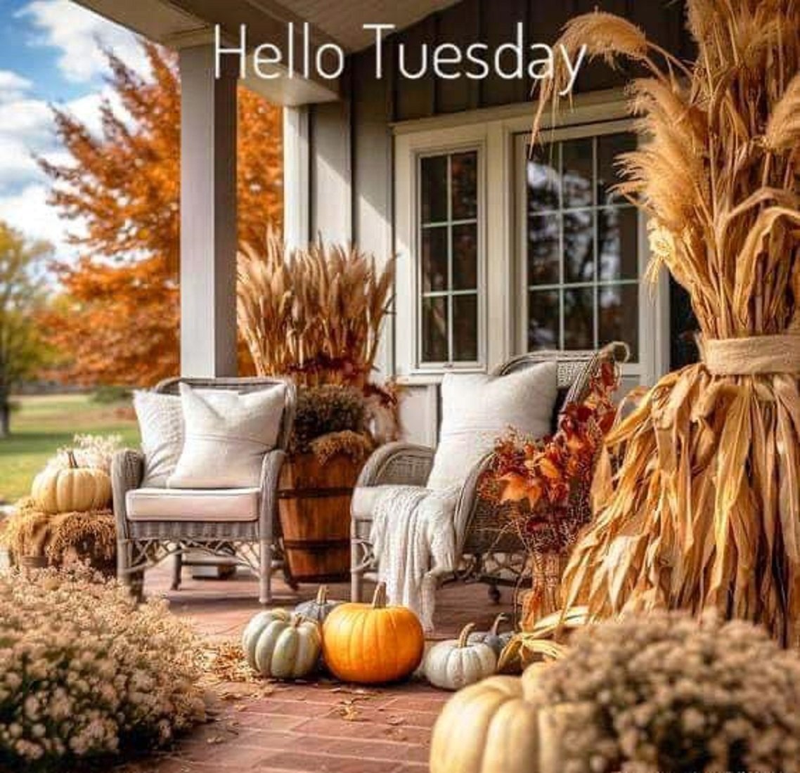 Solve Beautiful Fall Tuesday jigsaw puzzle online with 72 pieces