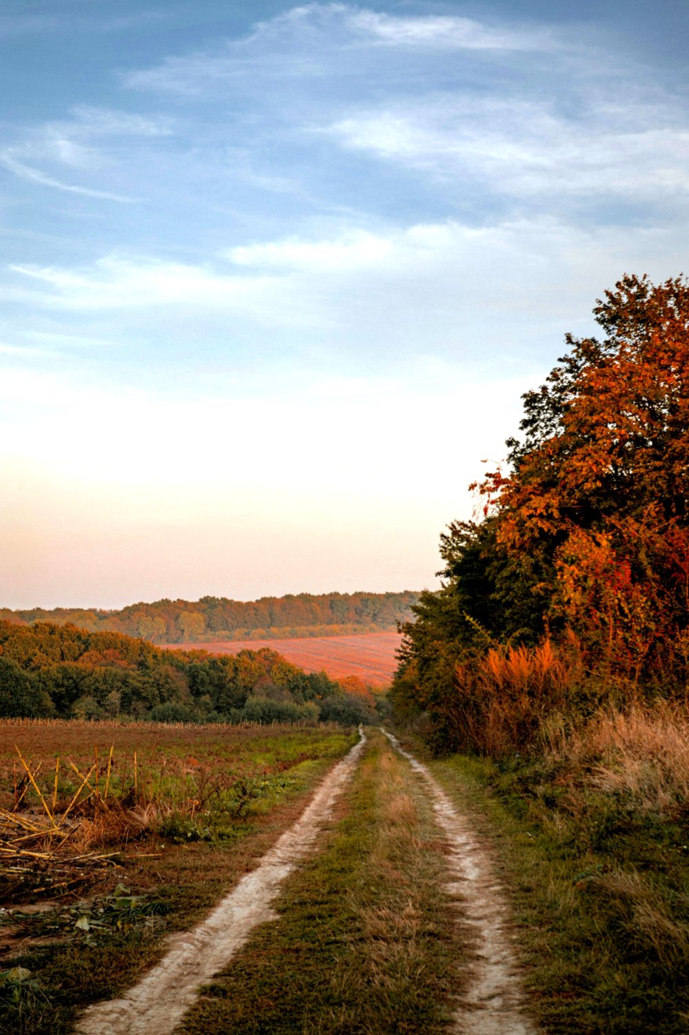 Solve Road to nowhere jigsaw puzzle online with 54 pieces