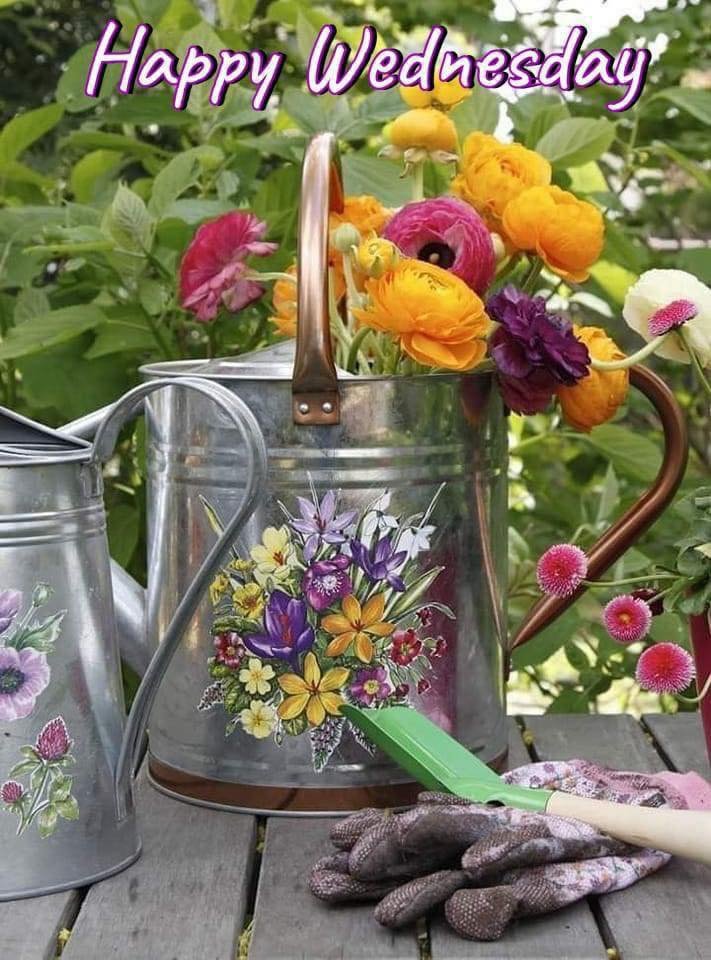 Solve Good Morning - Happy Wednesday! jigsaw puzzle online with 70 pieces