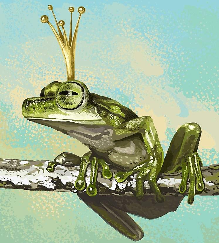 Solve Frog jigsaw puzzle online with 156 pieces